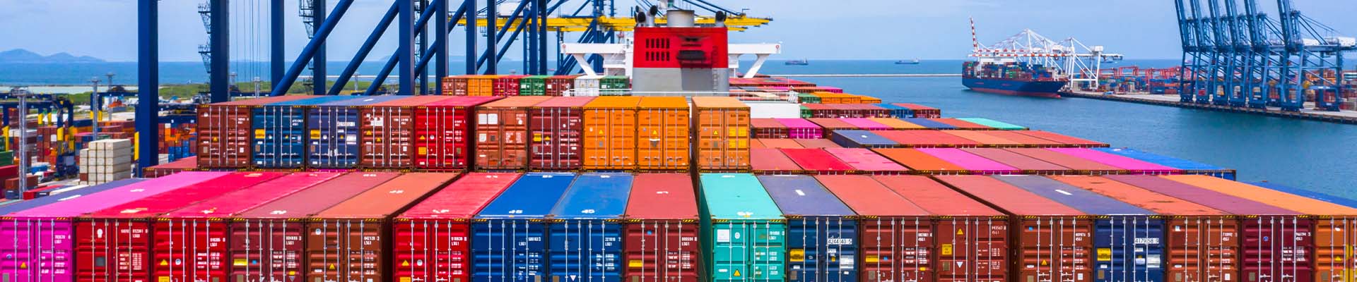 Shipping container industry: Top 4 risk management tips | Privalgo